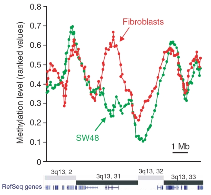 结肠癌细胞中染色体的DNA甲基化在Scitable |学习科学 - beplay官网网页主页